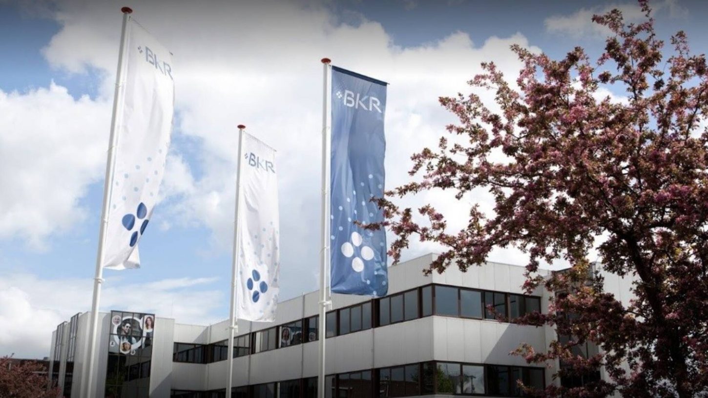 Wat doet het BKR? | FiFi Finance NL