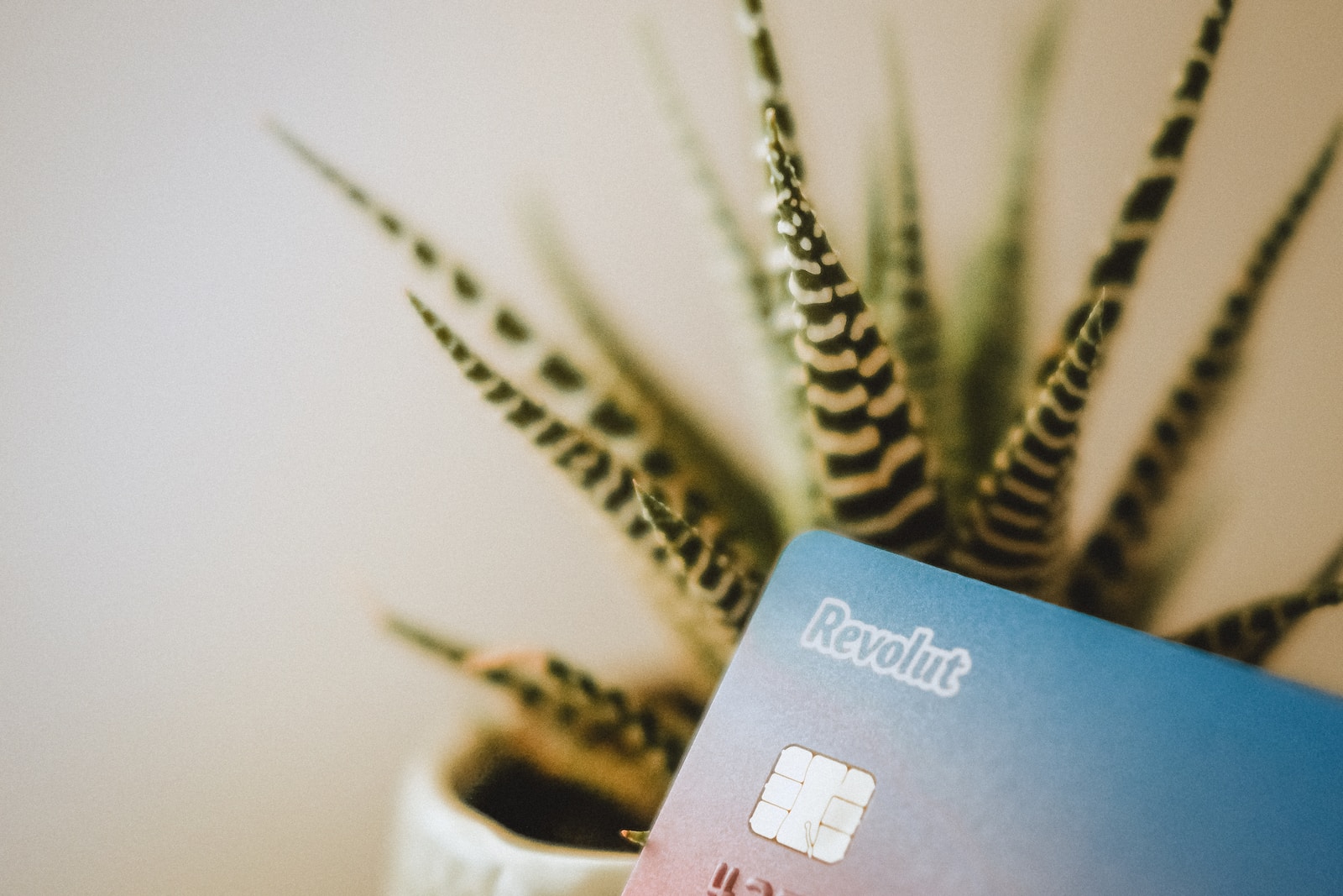 Revolut US Review: Virtual Multicurrency Account | FiFi Finance